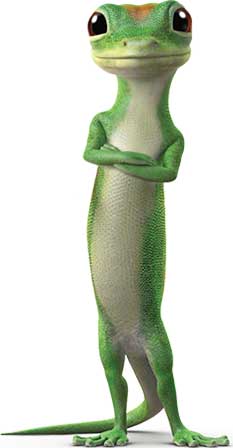 GEICO Discounts for NTHS Members - NTHS